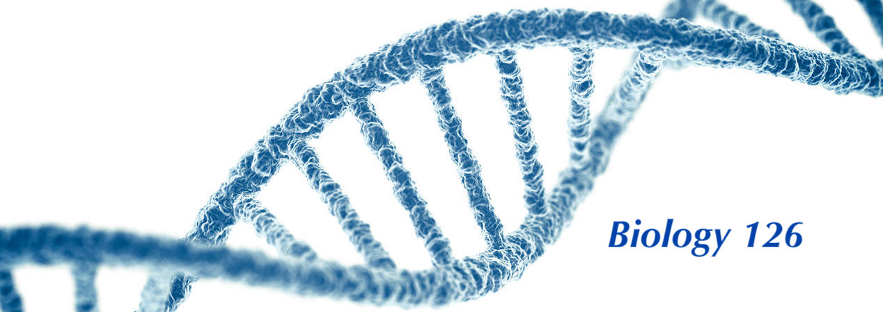 BIO-126-A-202301 | GCC