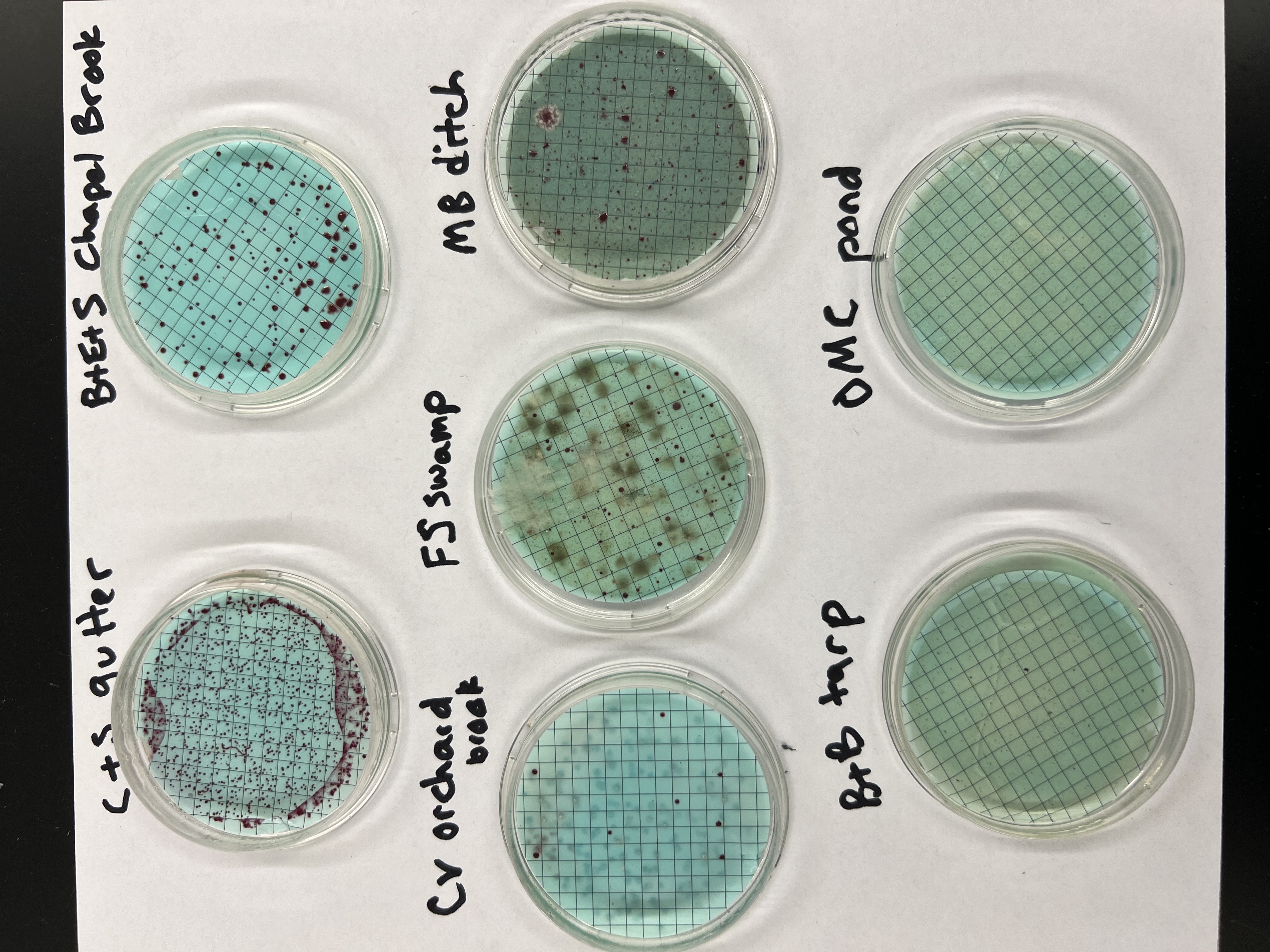 BIO-205-202509 Meta | GCC